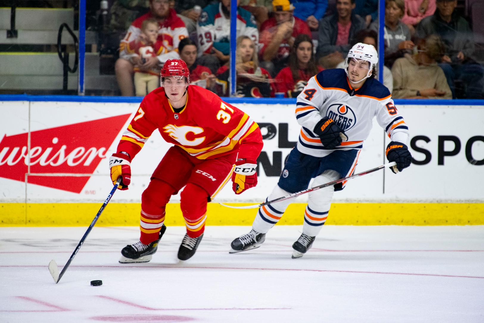 Calgary Flames recall defenseman Yan Kuznetsov - The Win Column