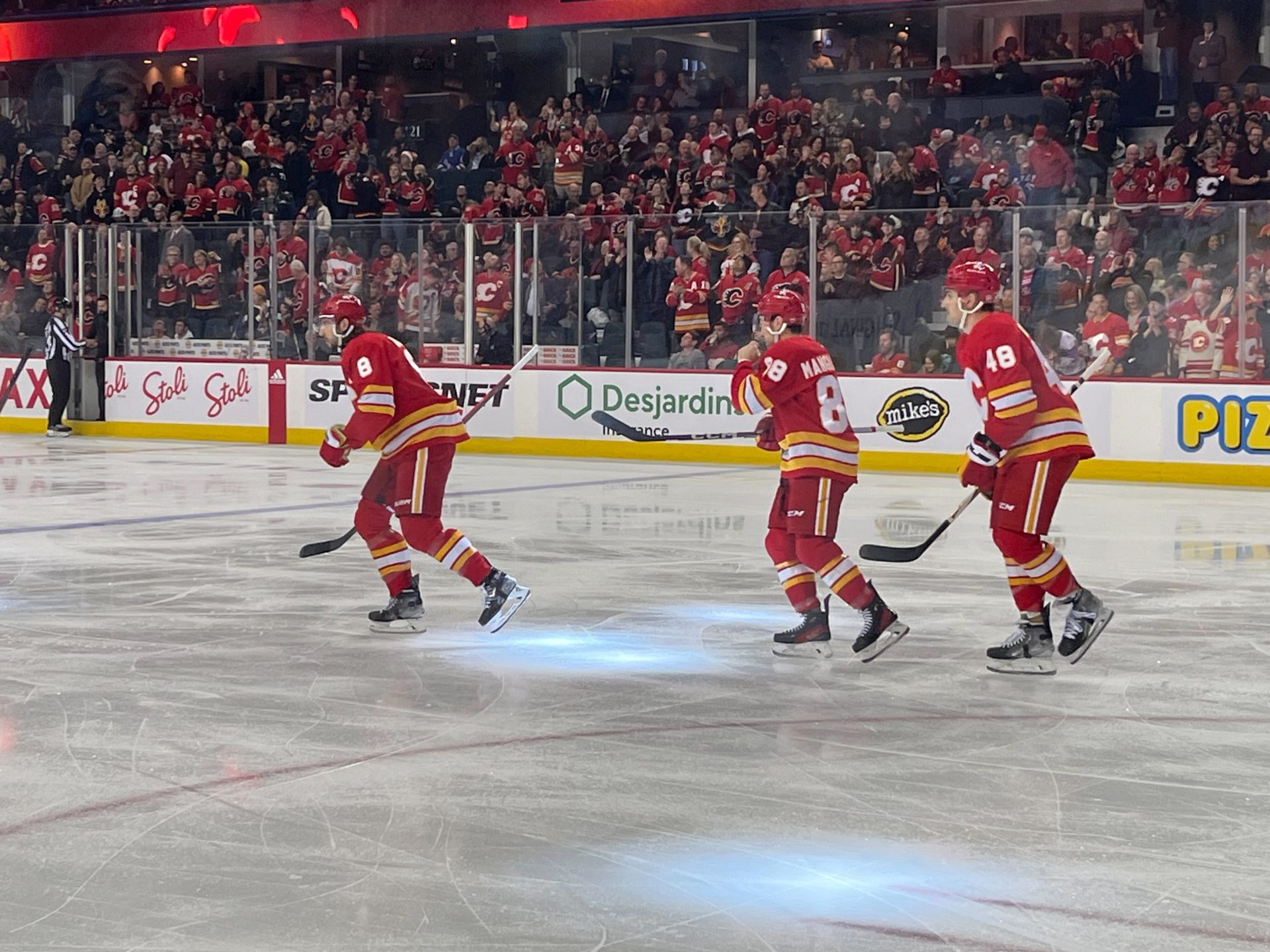 Calgary Flames defenceman Chris Tanev hurt in first period against the ...